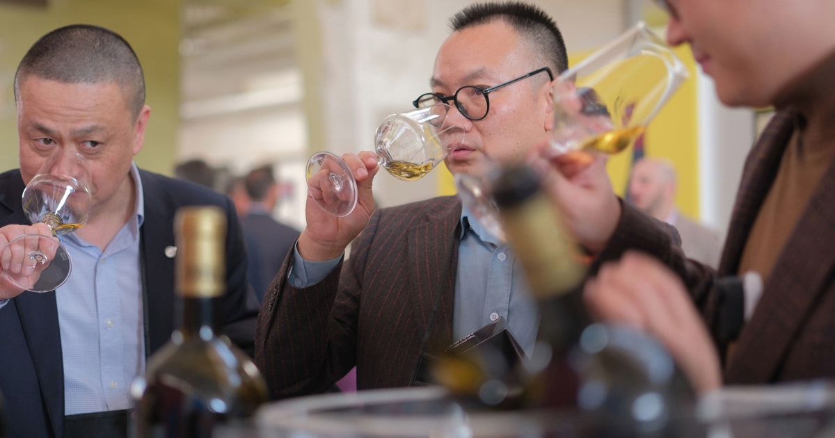 Vinitaly Operawine: icons and new promises 150 labels selected by Wine ...